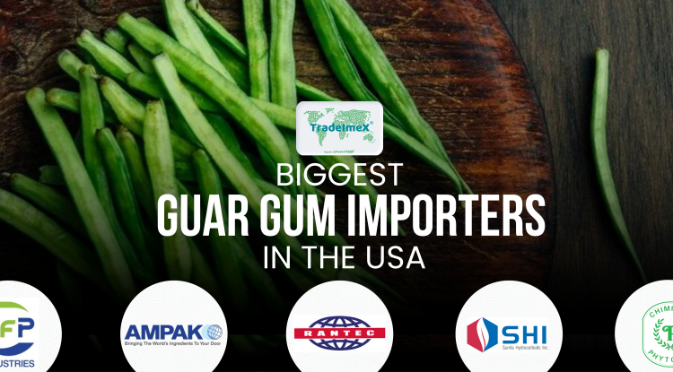 Biggest Guar Gum Importers in the USA - USimportdata Blog