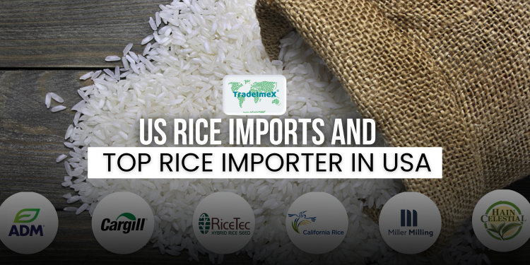 Top 10 Biggest Rice Importers in USA of 2023-24 - Explore US Import ...