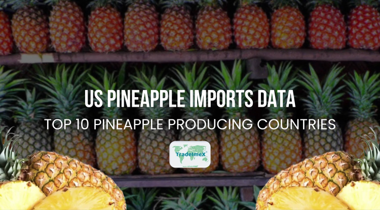 US Pineapple Imports data: Top 10 Pineapple Producing Countries - Explore US Import Data, Export ...