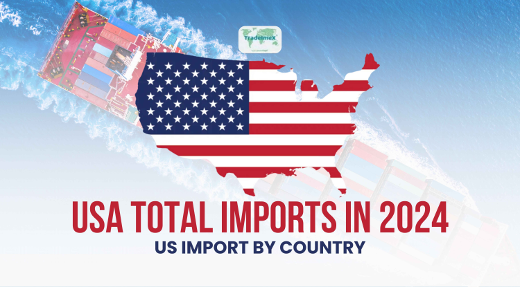 USA Total Imports in 2024: US Import by Country - USimportdata Blog