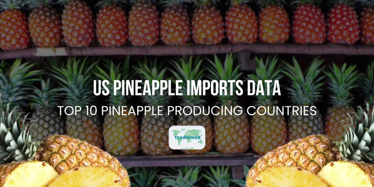 US Pineapple Imports data: Top 10 Pineapple Producing Countries - Explore US Import Data, Export ...