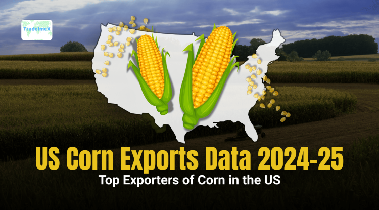 US Corn Exports Data 2024-25: Top Exporters of Corn in the US ...