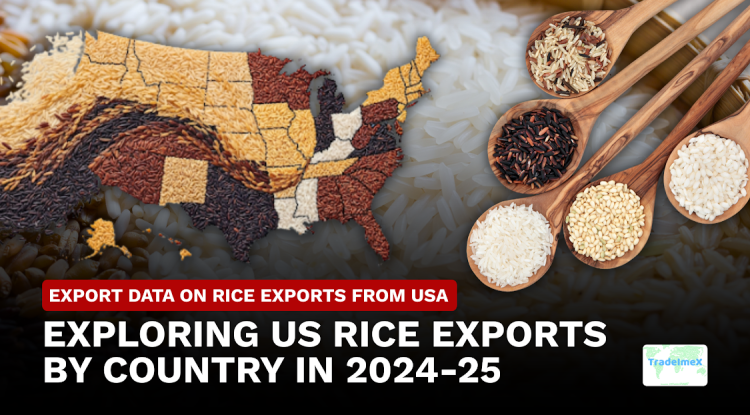 Rice Suppliers & Exporters in USA | US Rice Exports by Country - Our ...